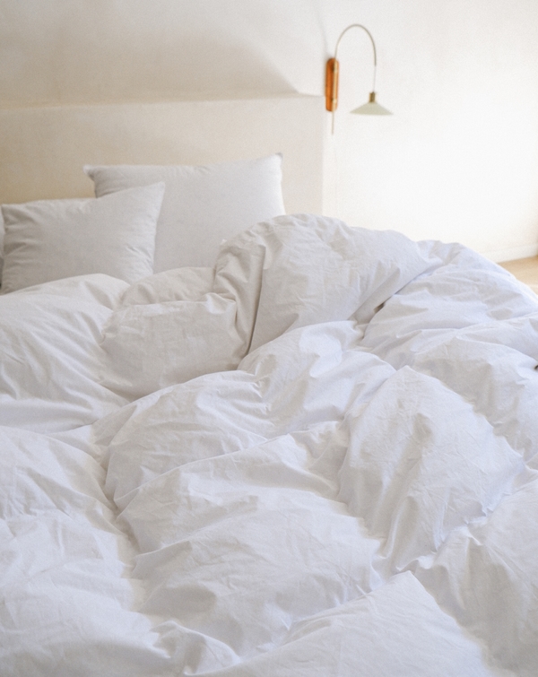 Home | Crisp Sheets
